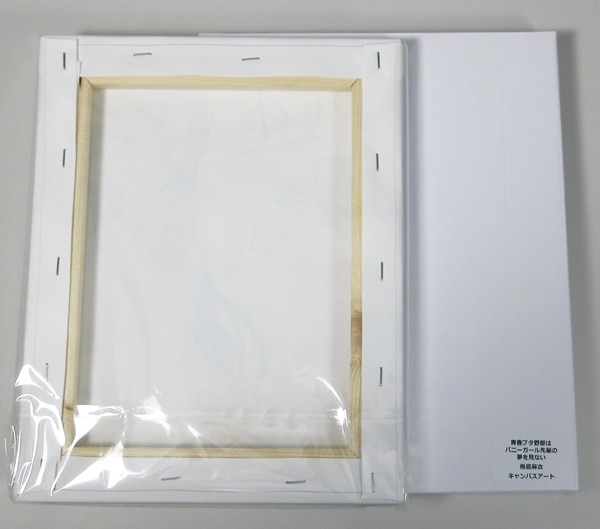 Keeji Mizoguchi Color Reproduction Illustration "Rascal Does Not Dream ...