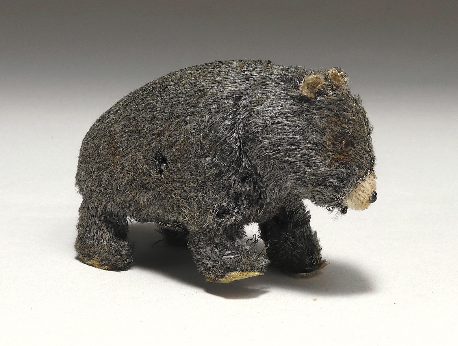 Kure Vernon Bear
