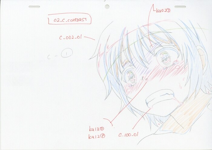 Tennen Koi Iro Alcohol Genga