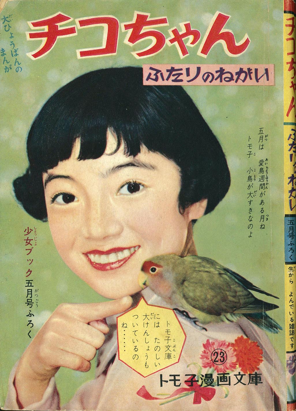 Chiko-Chan