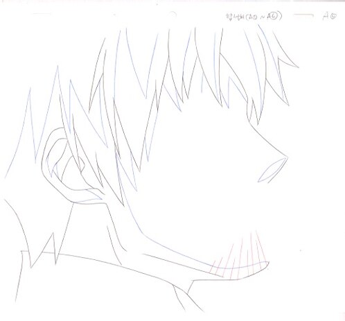 Spice and Wolf(Okami to Kōshinryo) : genga