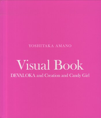 [PG-5364]DEVA ZAN visual Book 直筆サイン本 天野喜孝