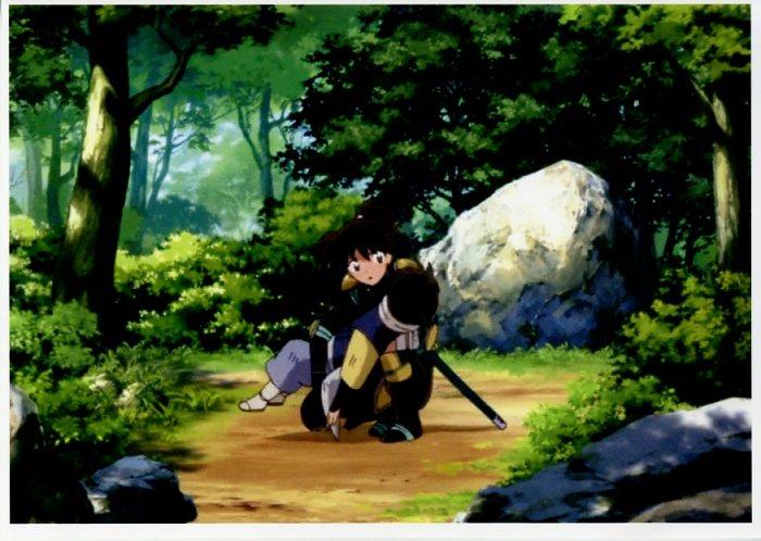 半妖の夜叉姫 設定