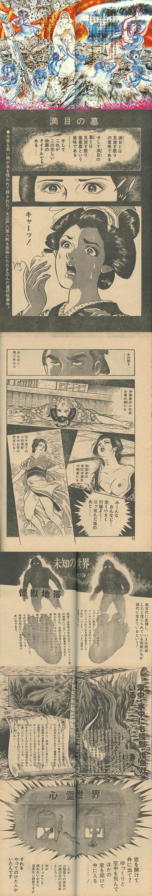 みのりコミックスNo.6 続 燃ゆる世界 運命あと10年1976(S51)01