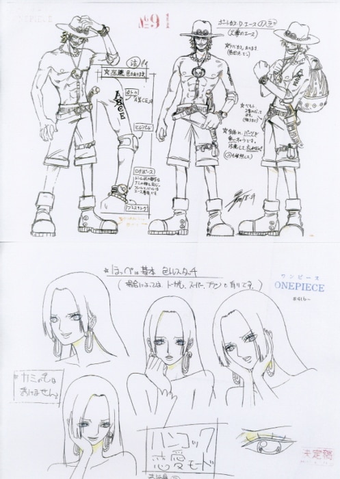 one piece ; setting