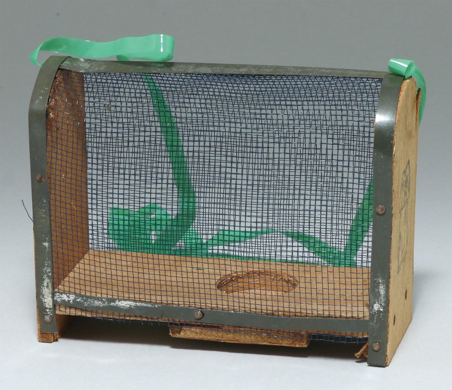 Bug basket Dog