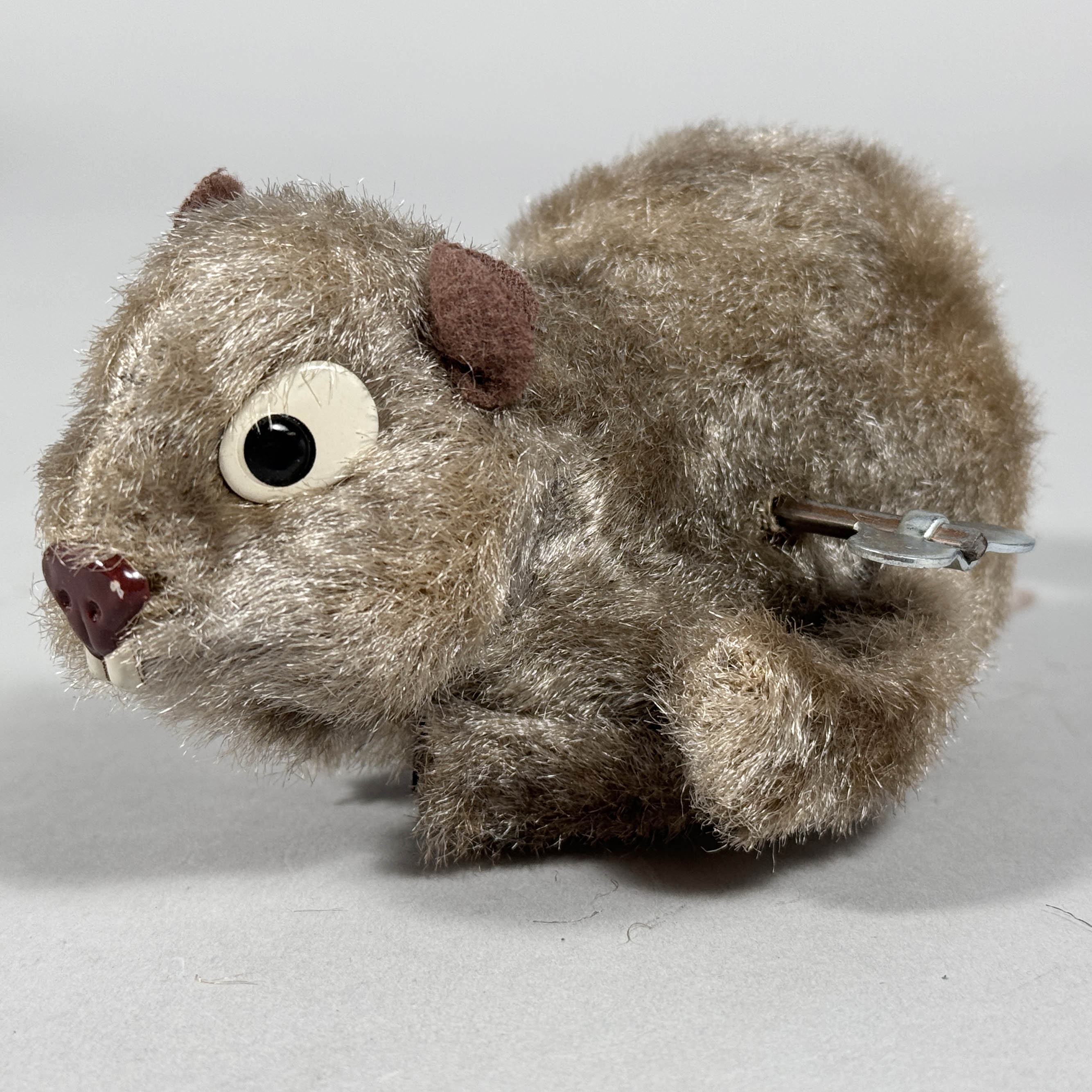 billy the beaver