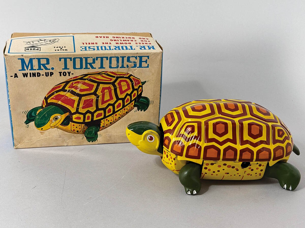 Mr. Tortoise