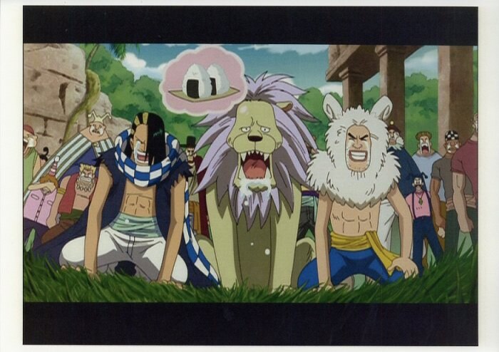 one piece : setting
