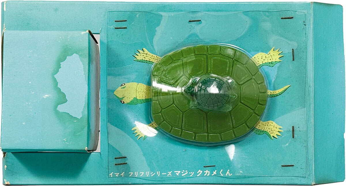 magic turtle