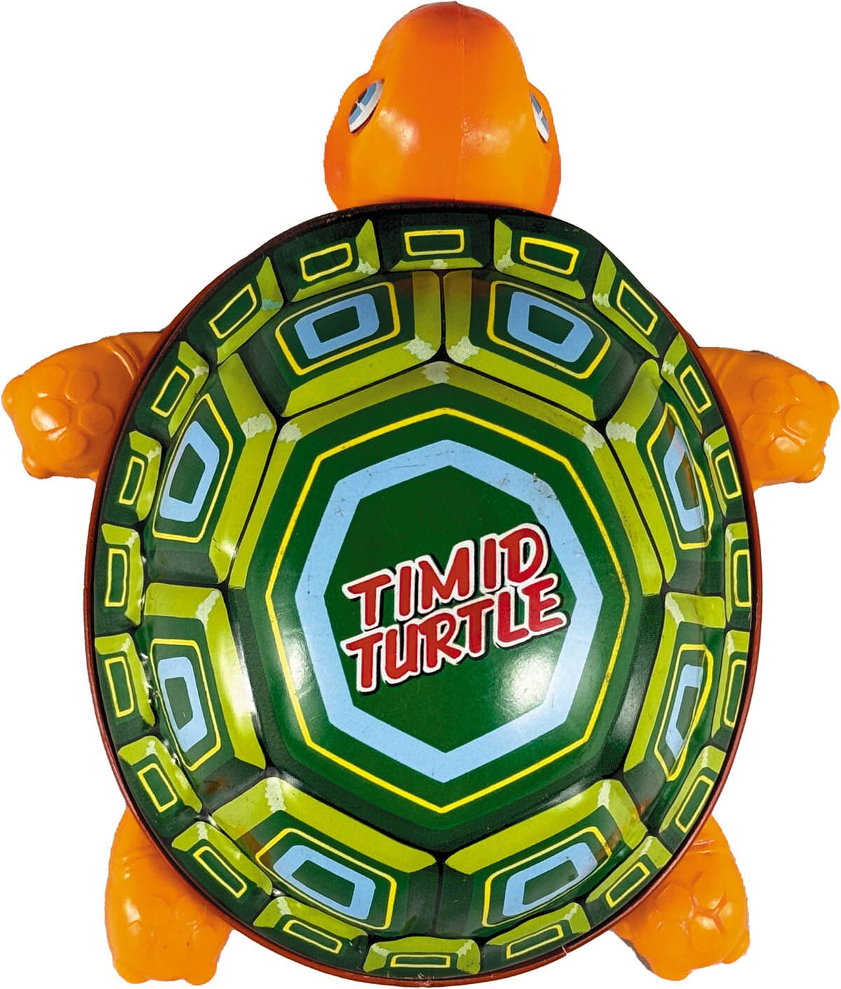 Timid Turtle