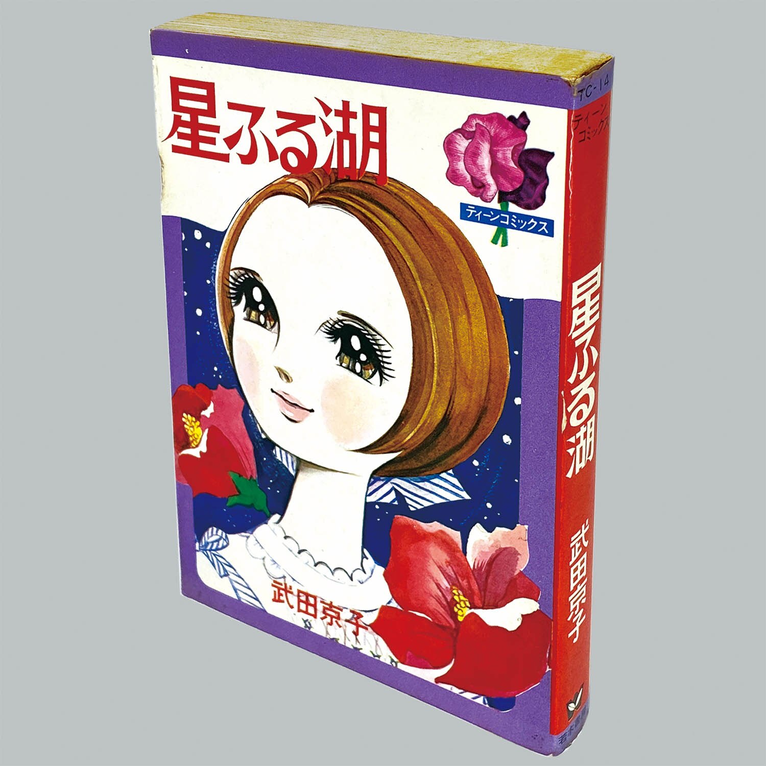 Teen Comics / Kyoko Takeda "Hoshifuru Lake Non-Rental Book"