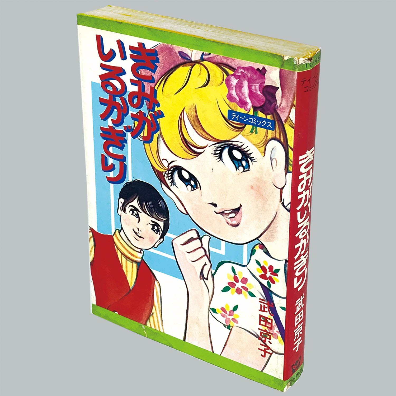 Teen Comics / Kyoko Takeda "As long as you are there, non-rental book"