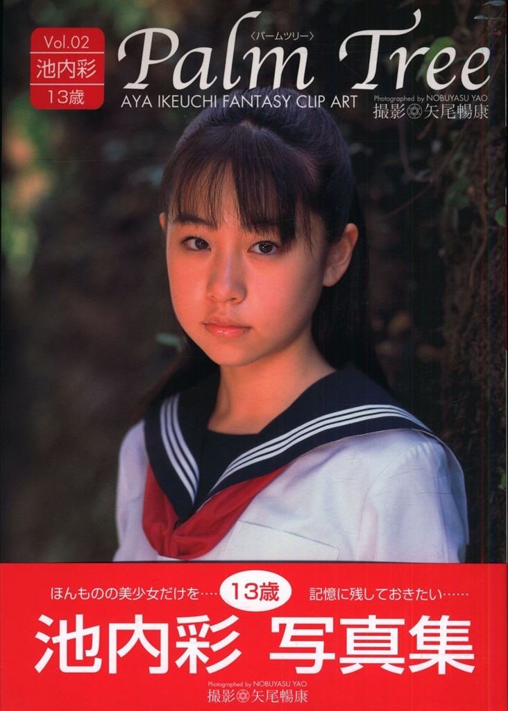 生写真付 池内彩 Palm Tree 02 池内彩写真集