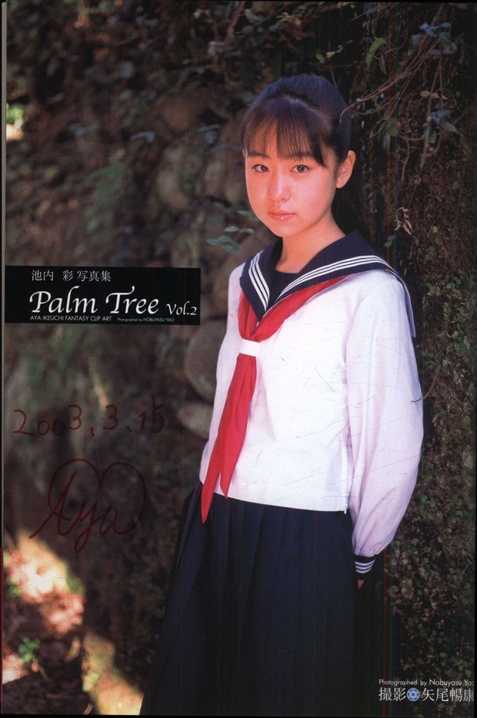 生写真付 池内彩 Palm Tree 02 池内彩写真集