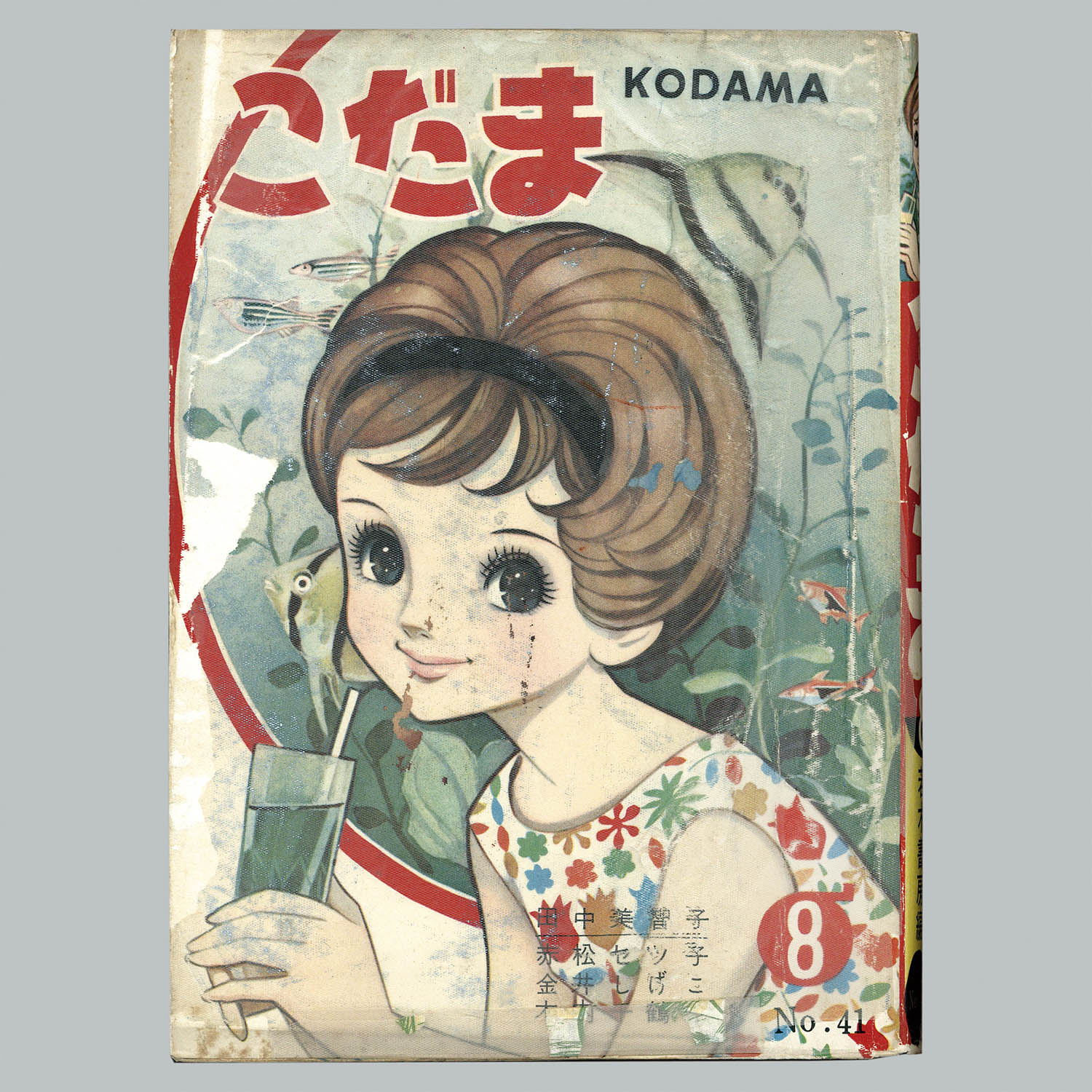 Wakaki Shobo / Setsuko Akamatsu / Chizuko Kiuchi / Michiko Tanaka / others "Echo 41"