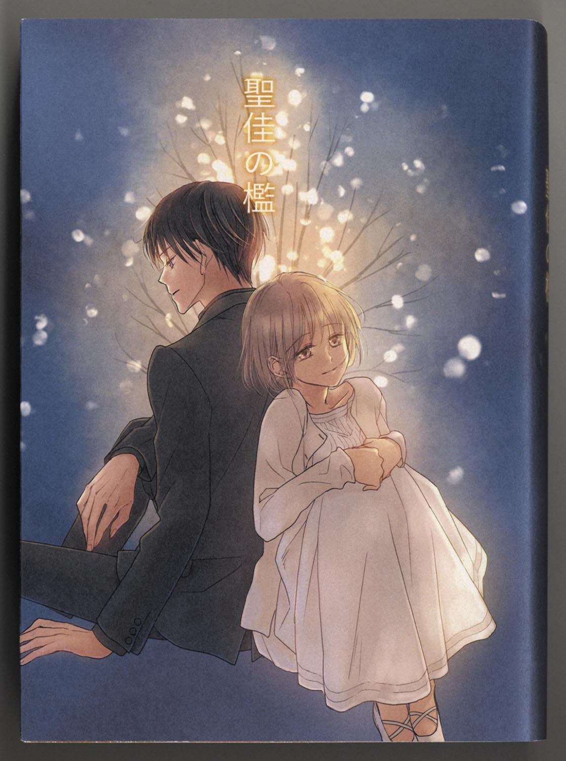 [9201] umbra in luce/聖佳の檻