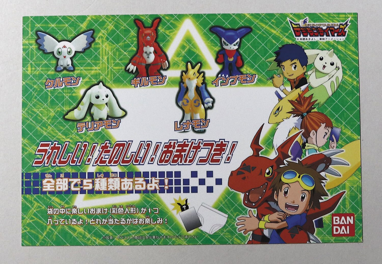 Digimon Tamers briefs backing cardboard