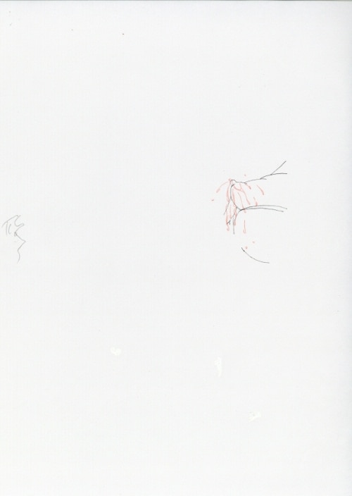 Honoo no Haramase Motto! Hatsuiku! Karada Sokutei 2 The Animation ...