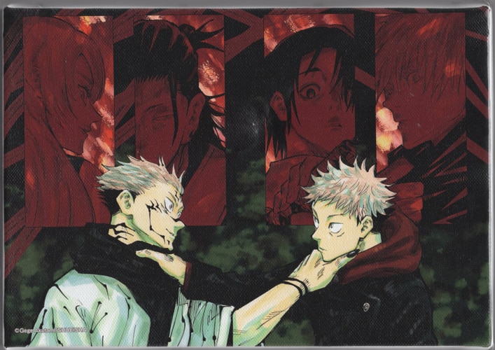 Jujutsu Kaisen Color Reproduction Illustration Gege Akutami