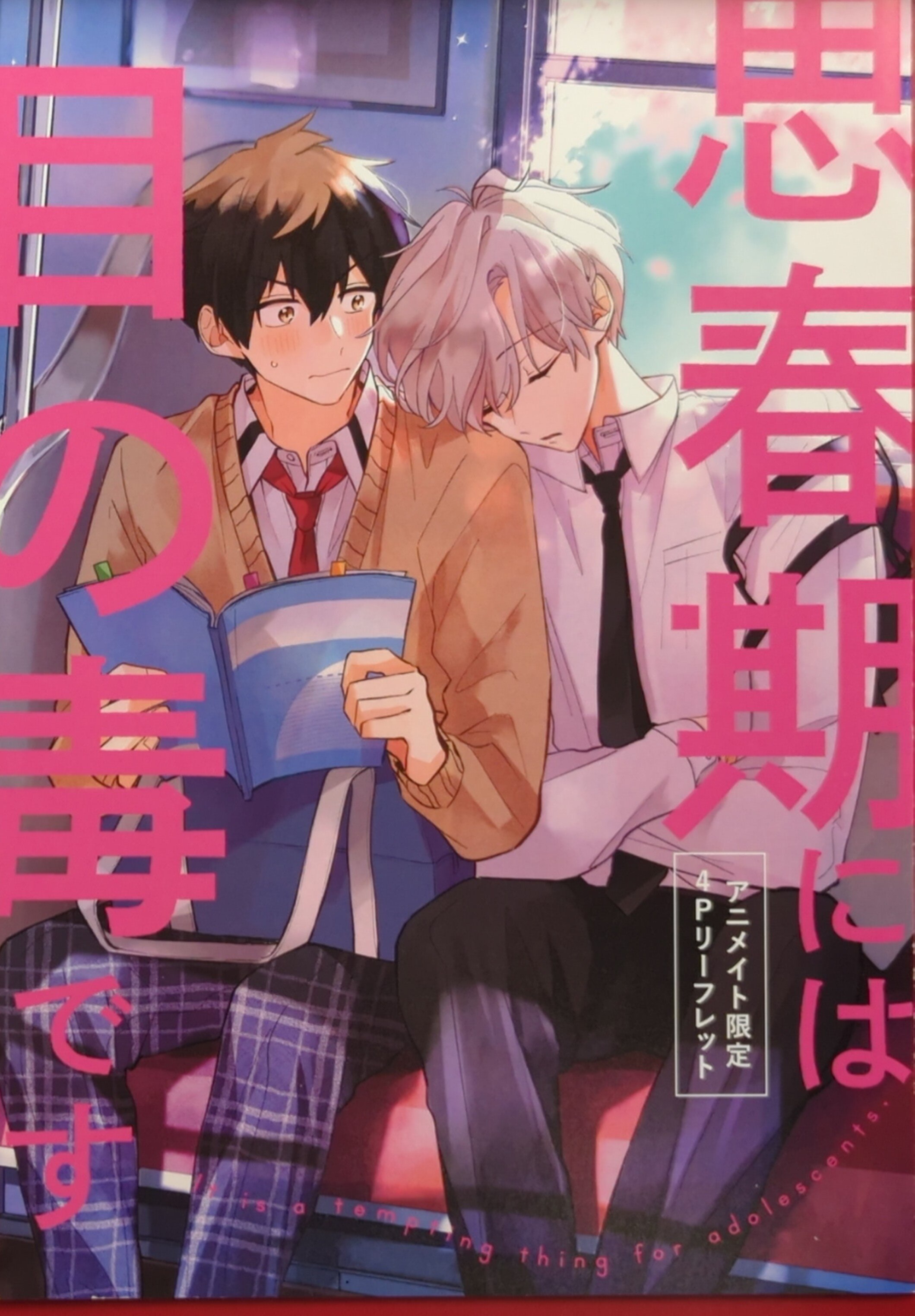 Kadokawa 書店配布 フルールコミックス しののめ 思春期には目の毒です アニメイト限定4pリーフレット まんだらけ Mandarake