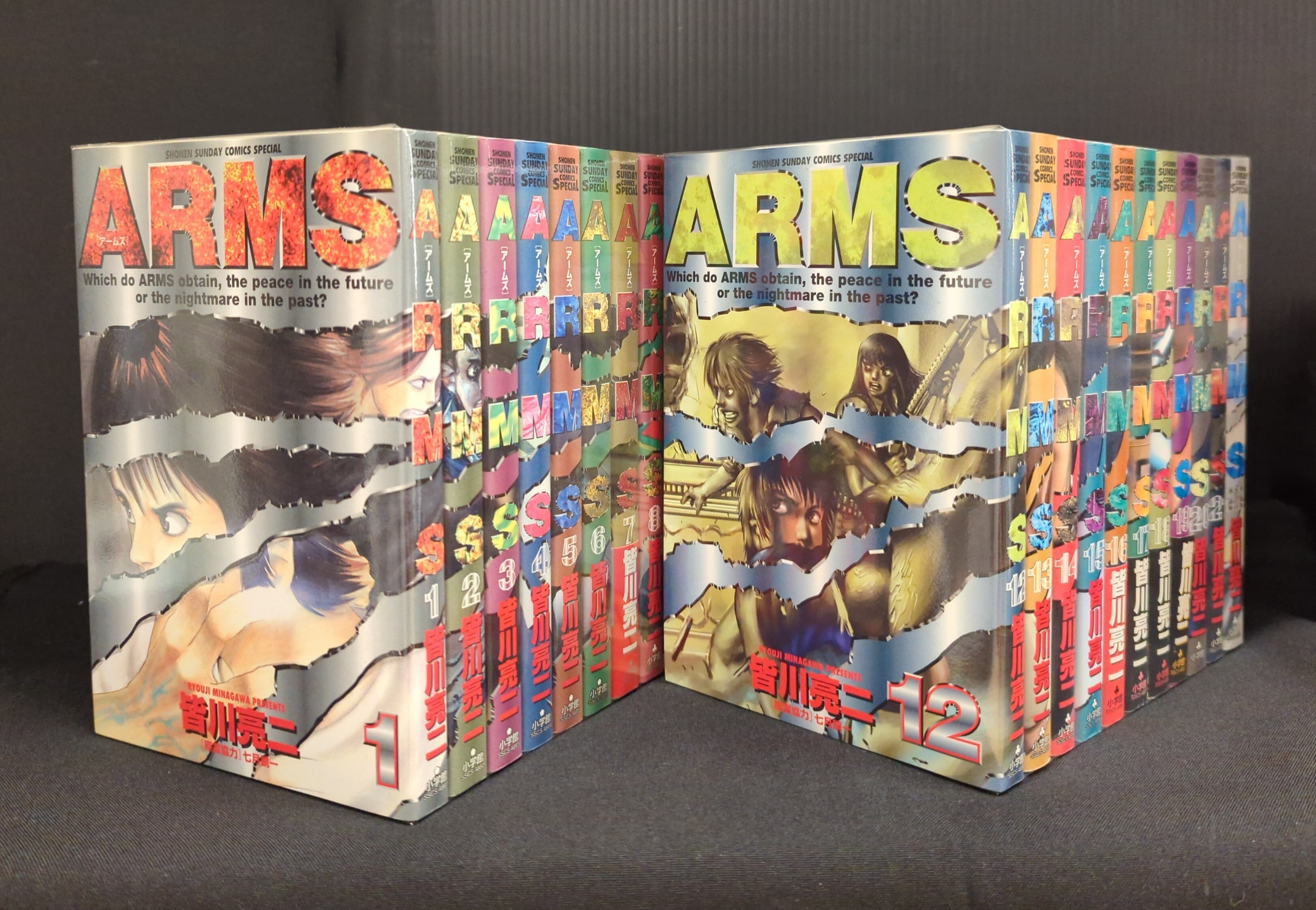 小学館 少年サンデーコミックススペシャル 皆川亮二 ARMS 全22巻 セット | まんだらけ Mandarake