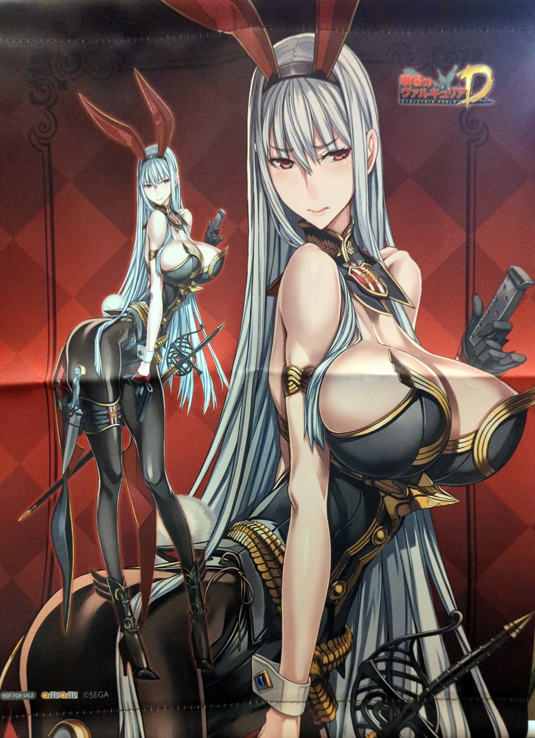 セルベリア・ブレス）戦場のヴァルキュリア あみあみ特典A3タペストリーのみ | まんだらけ Mandarake