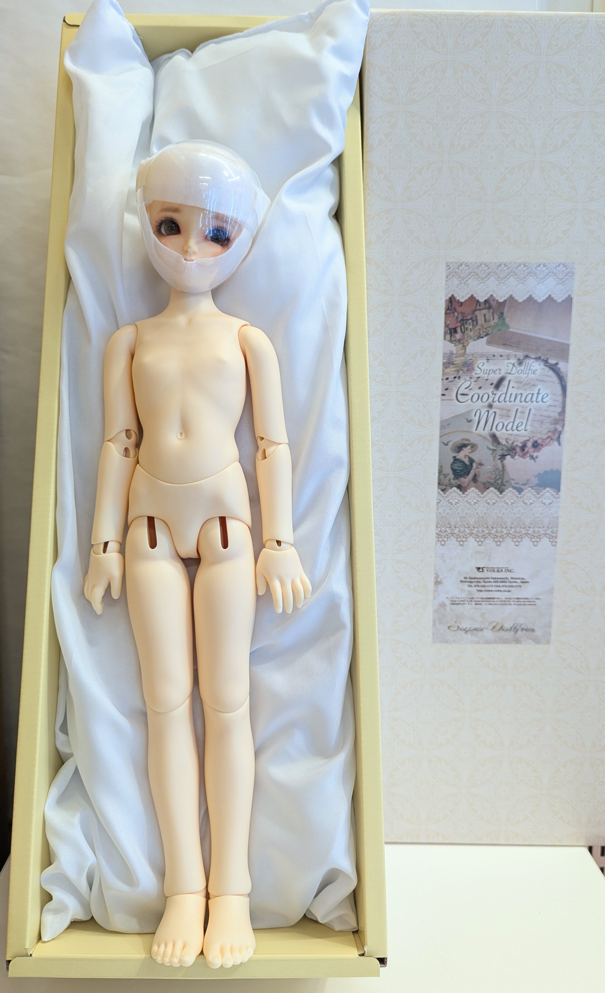 ボークス SDM女の子 コーディネートモデル F-38 ノーマル肌 | まんだらけ Mandarake