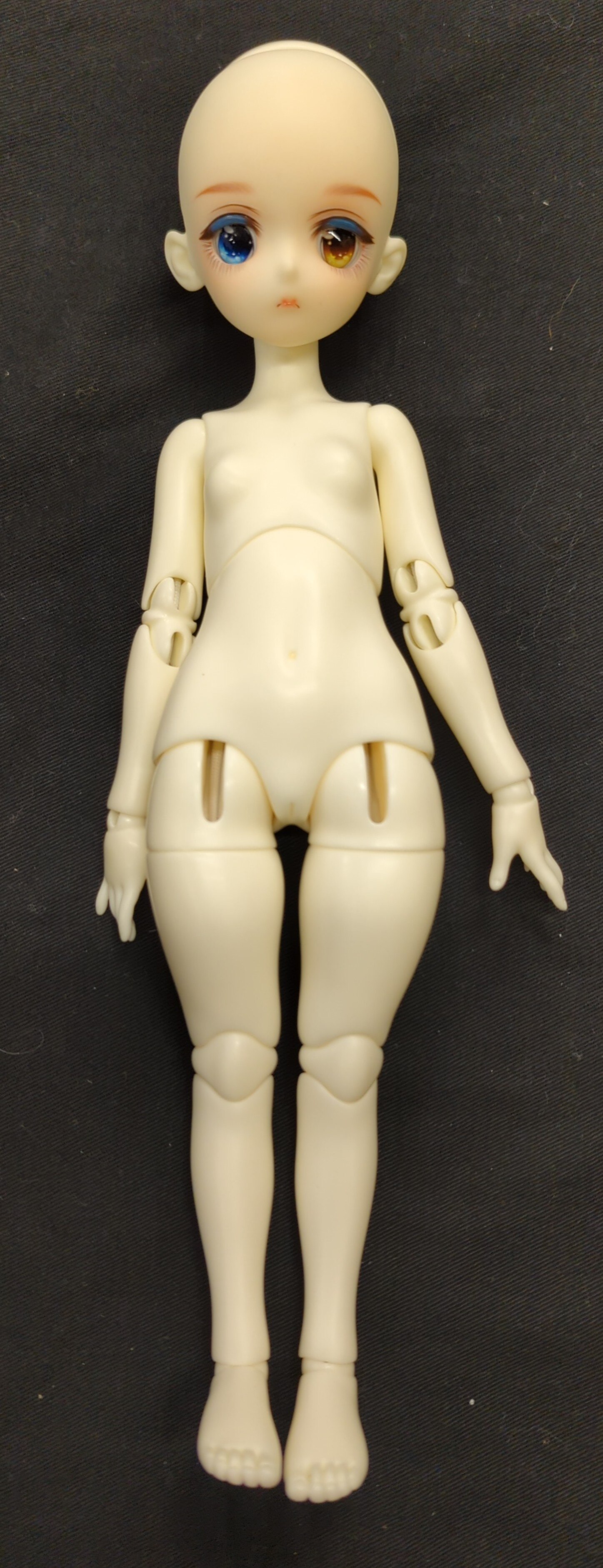 DOLK×DOLLZONE 1/6DOLL Miyou Odd-Eyed Maid Cat Girl ver. | まんだらけ Mandarake