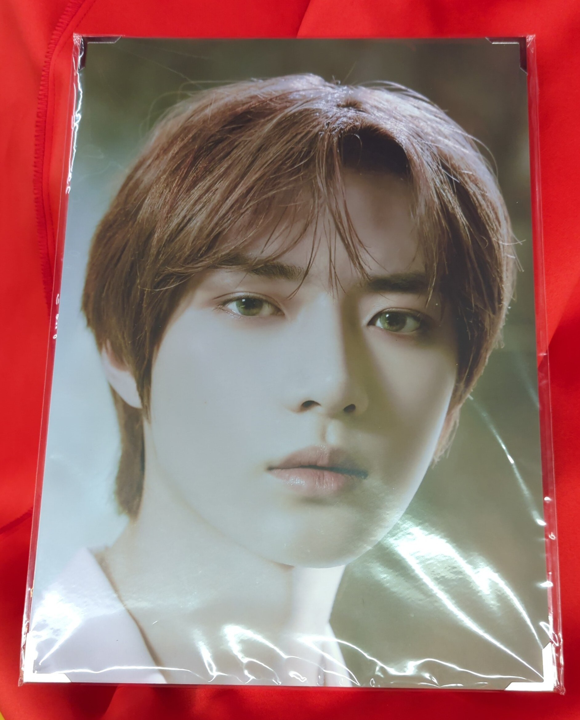 TXT ACT:LOVESICK BEOMGYU PREMIUM PHOTO | まんだらけ Mandarake