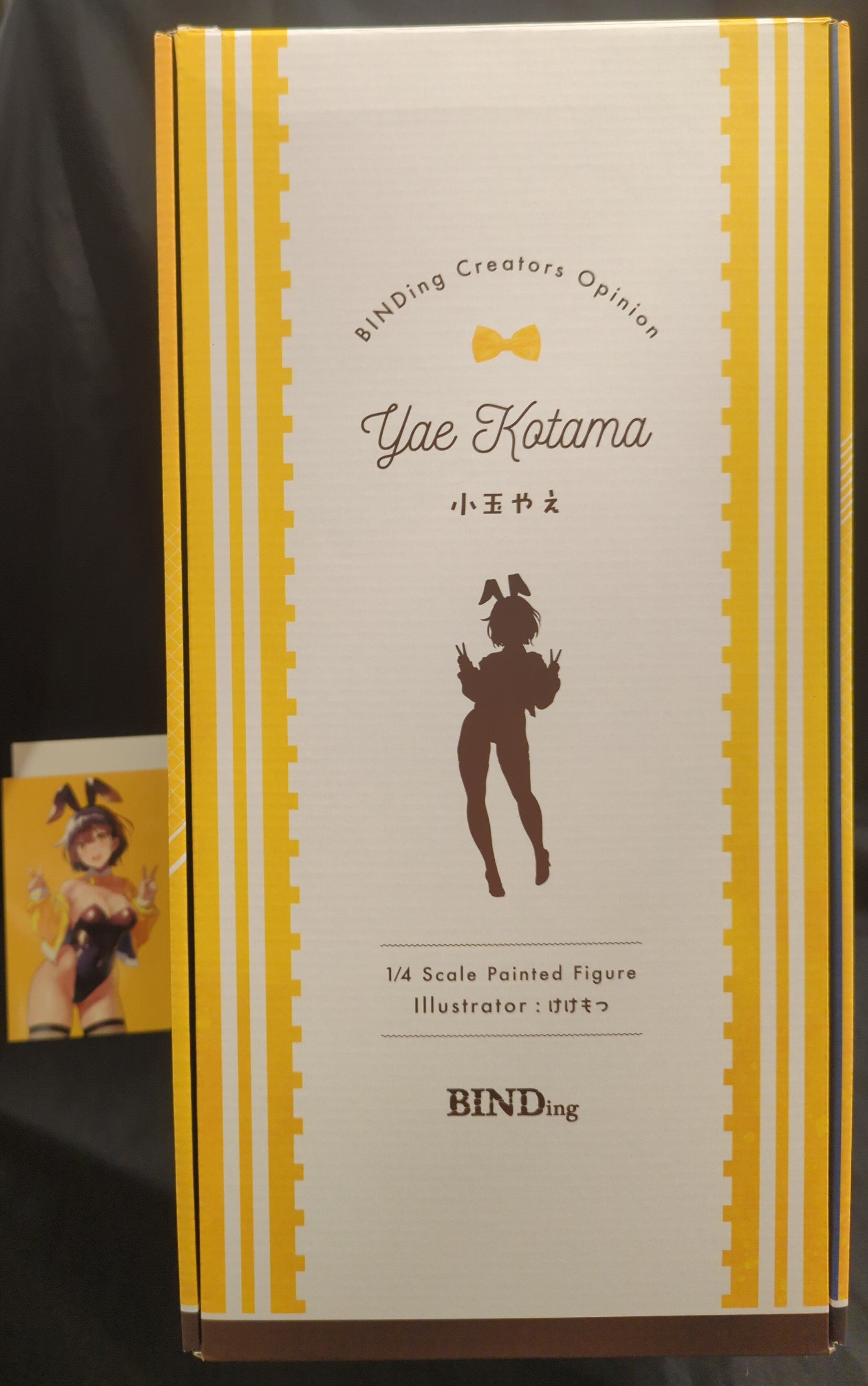 BINDing 1/4 小玉やえ | まんだらけ Mandarake