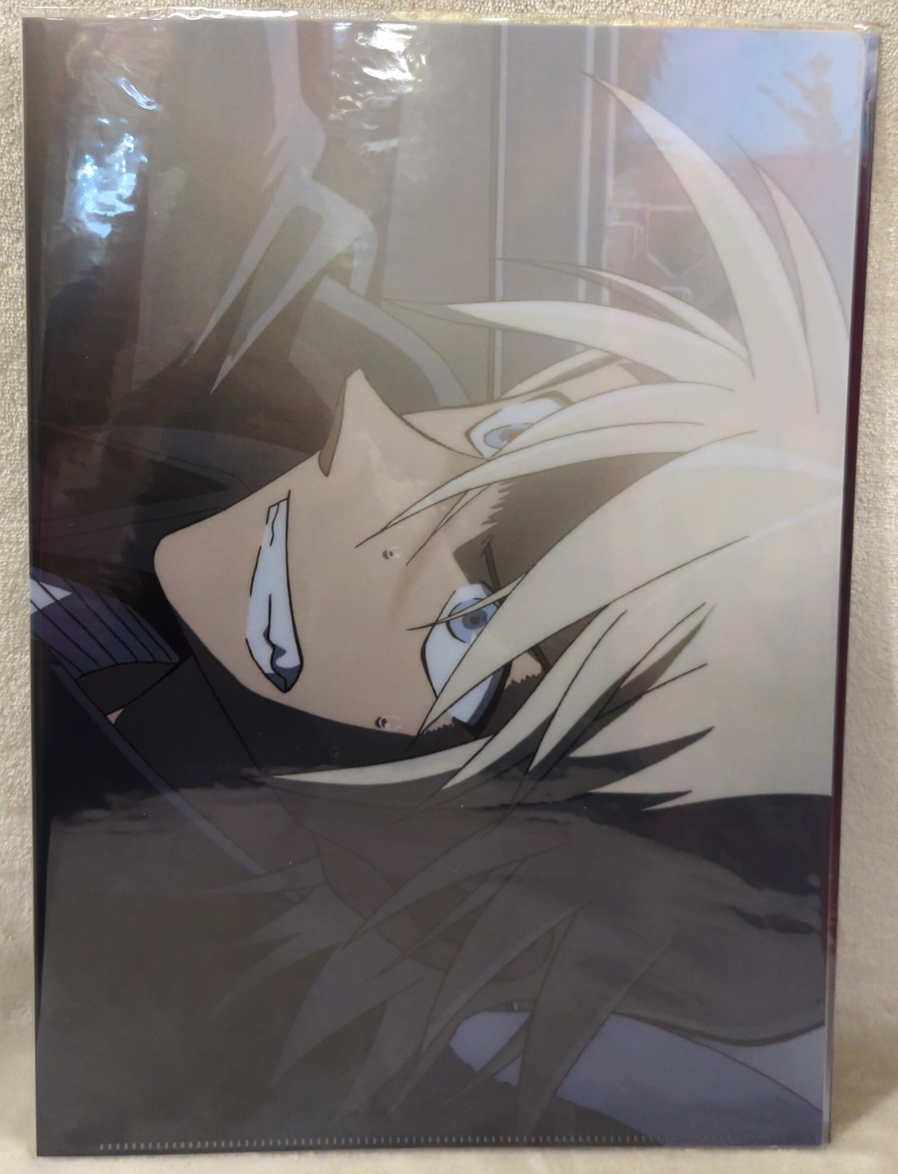 安室C 2枚セット クリアファイル | まんだらけ Mandarake