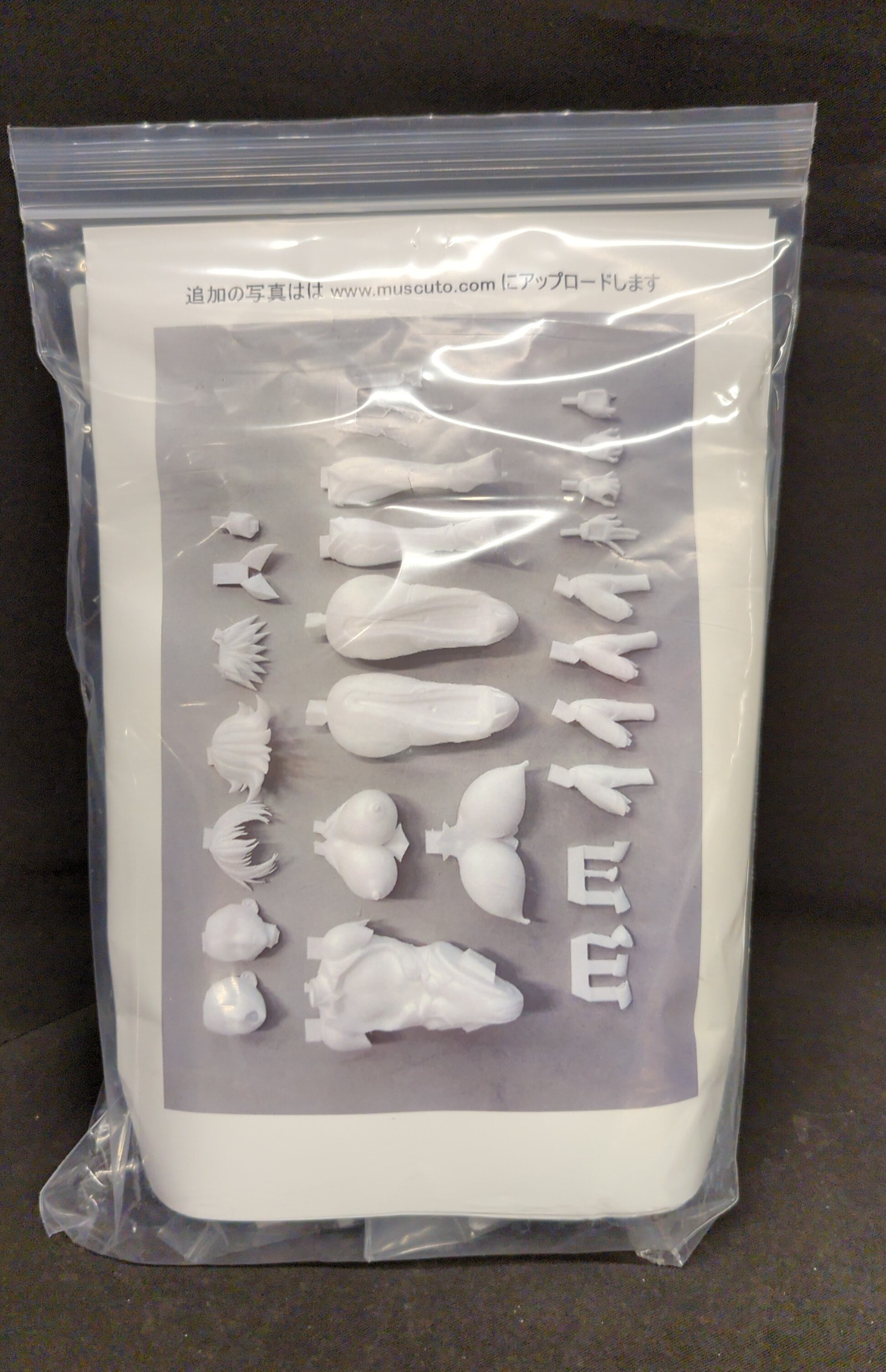 MUSCUTO 1/7スケールレジンキャストキット 井河さくらver.2 | まんだらけ Mandarake