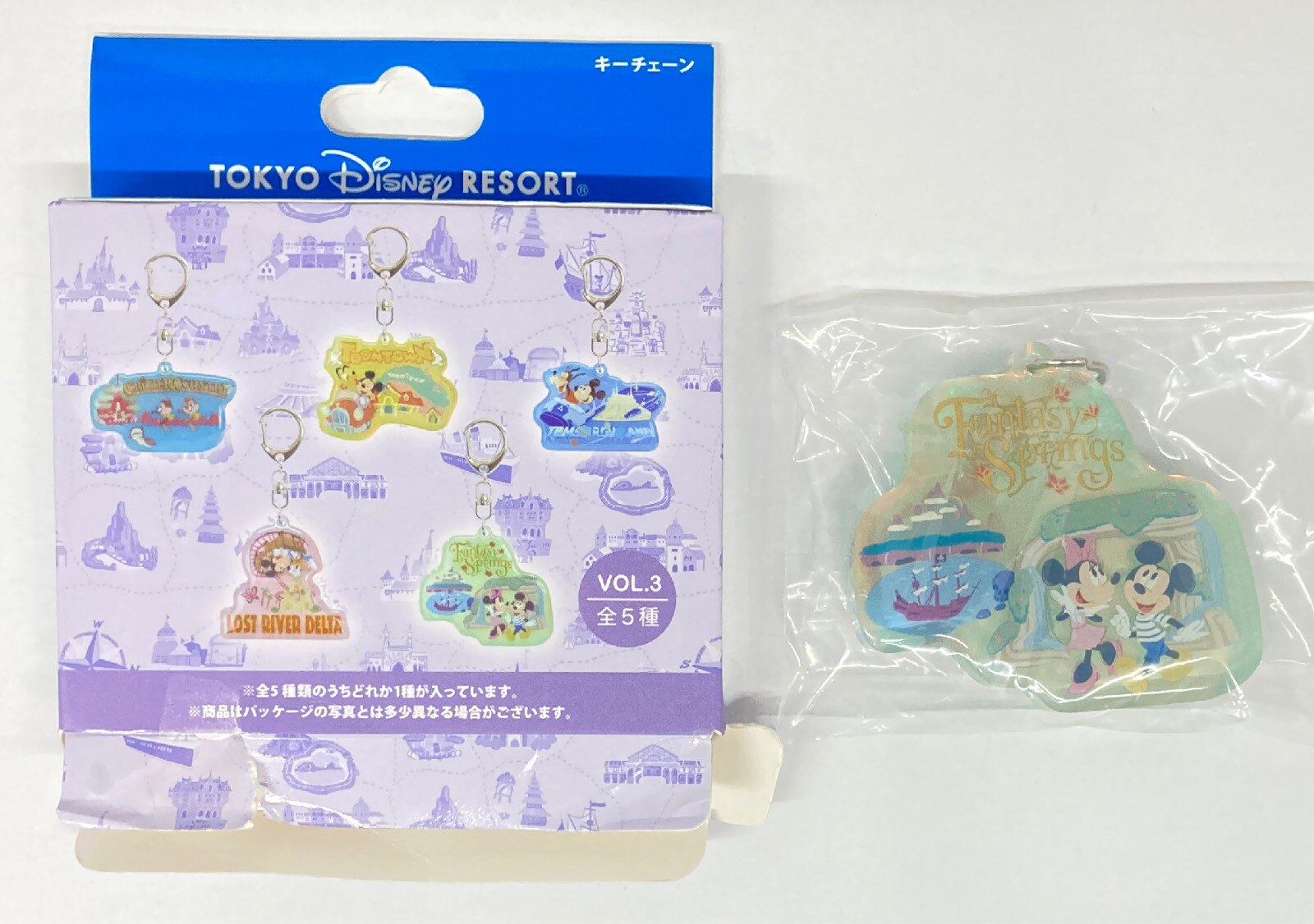 東京ディズニーリゾート キーチェーン WHERE DREAMS COME TRUE Fantasy Springs/テーマランド&テーマポート 03 | まんだらけ Mandarake