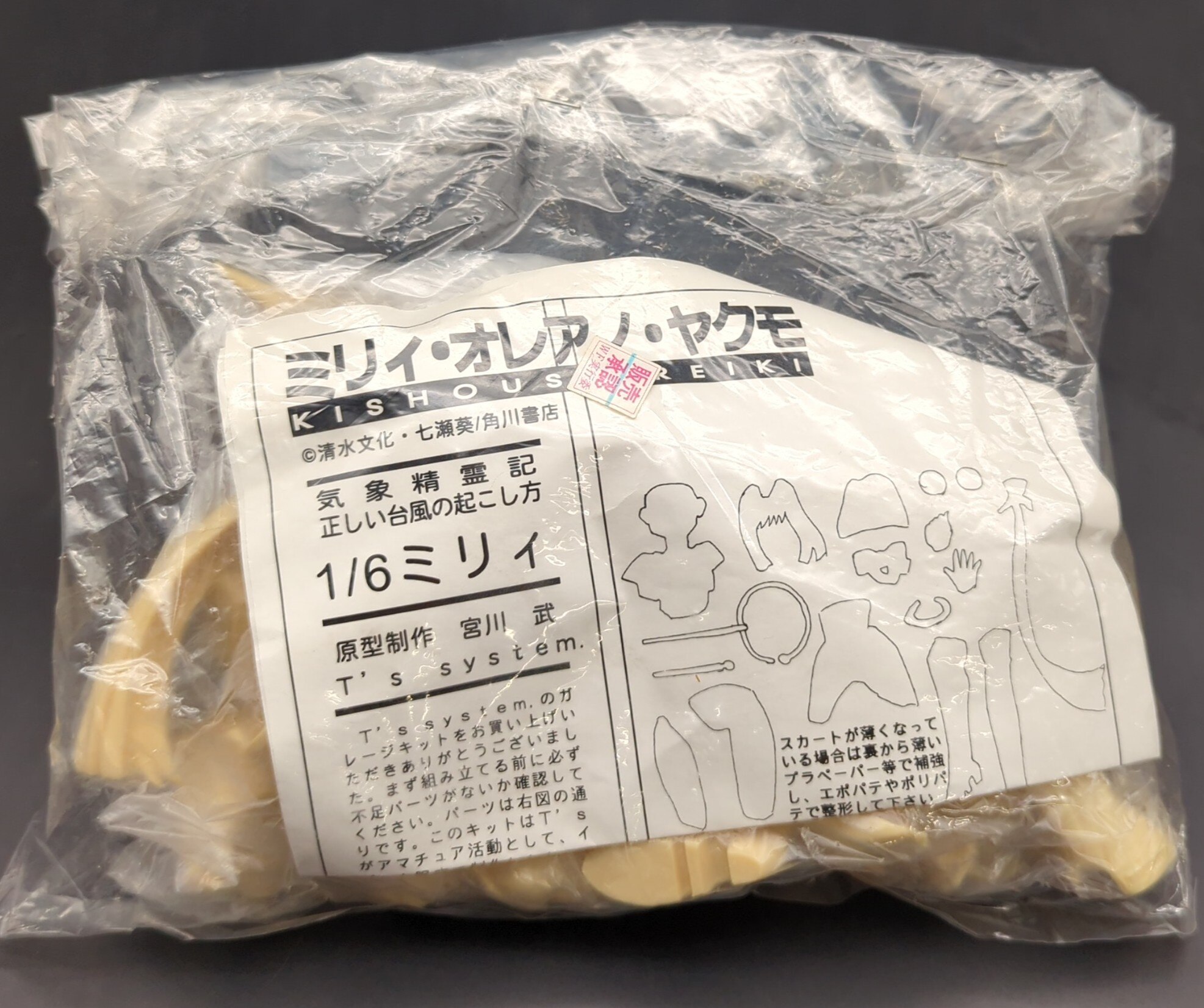 T's system 1/6スケールレジンキャストキット 原型 宮川武 ミリィ・オレアノ・ヤクモ | まんだらけ Mandarake