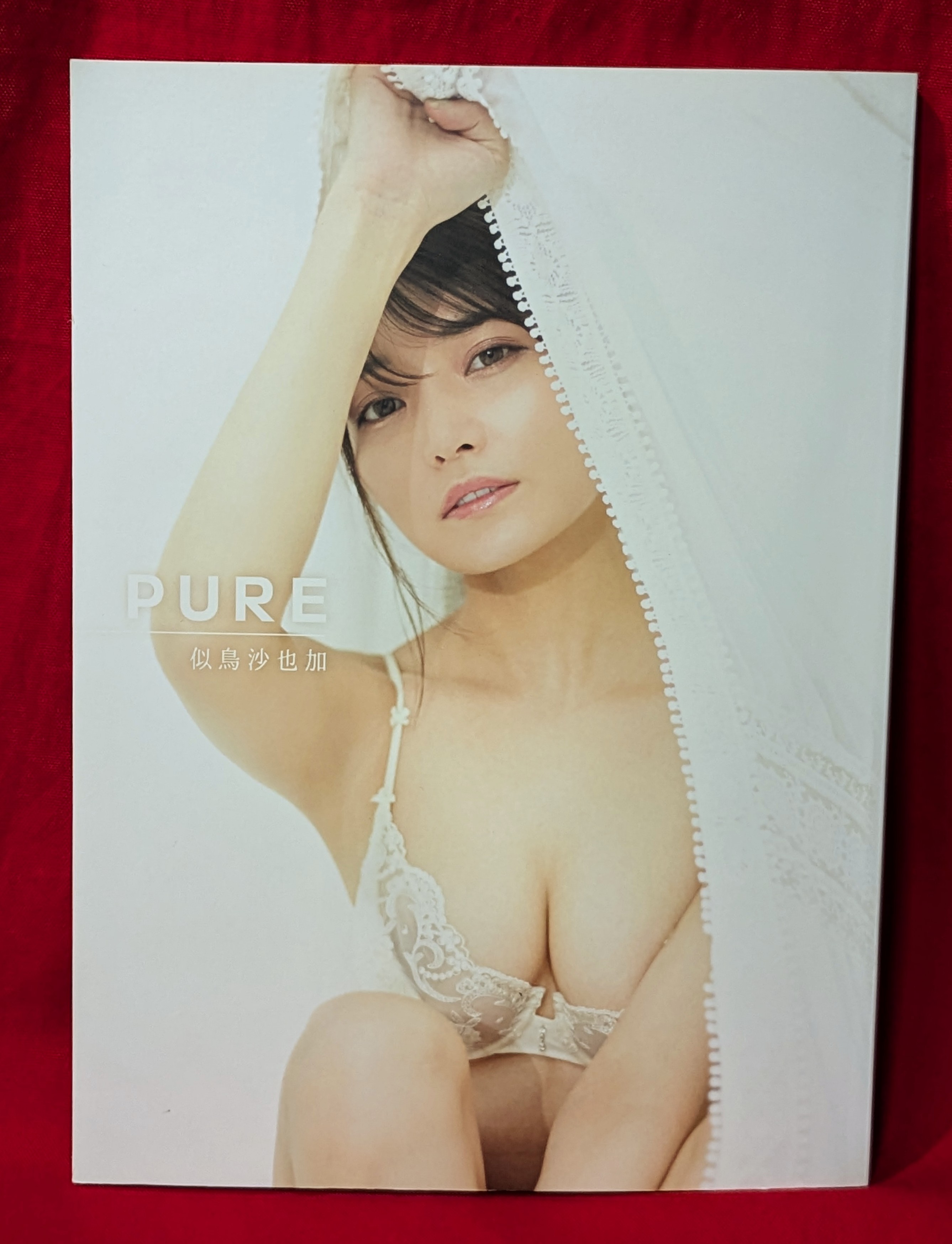 似鳥沙也加 PURE ポストカード欠 宛名入りサイン | まんだらけ Mandarake