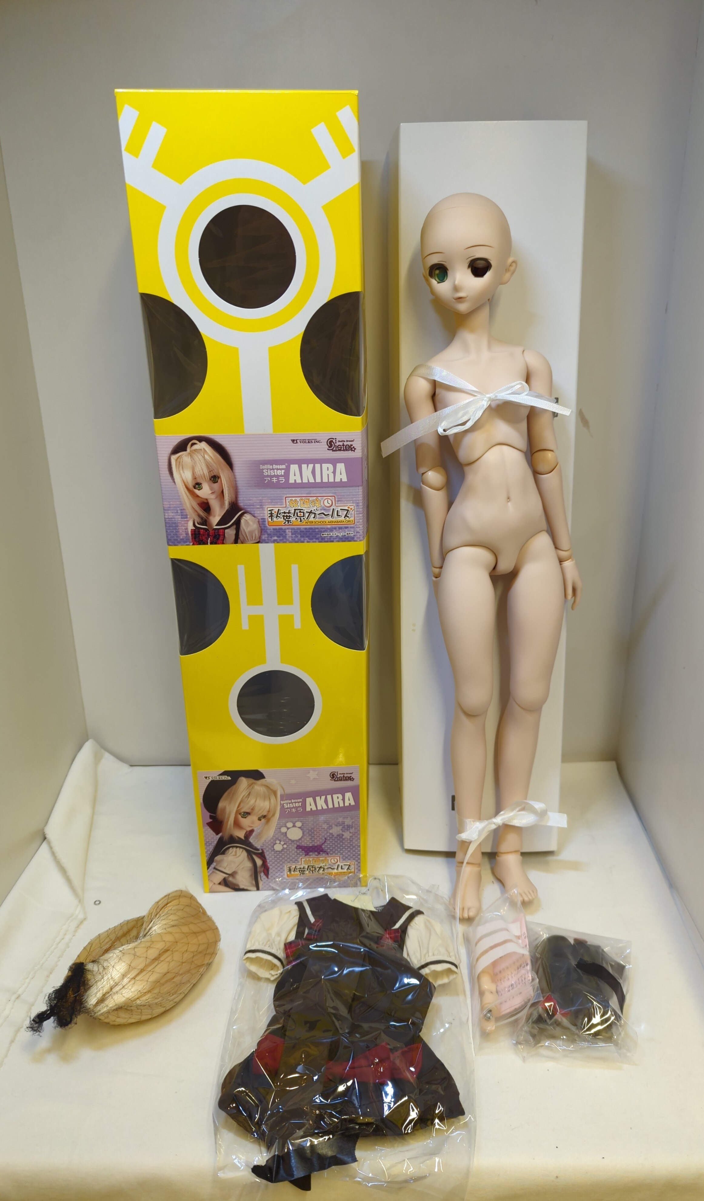 ボークス DDS 放課後秋葉原ガールズ アキラ 1st | まんだらけ Mandarake