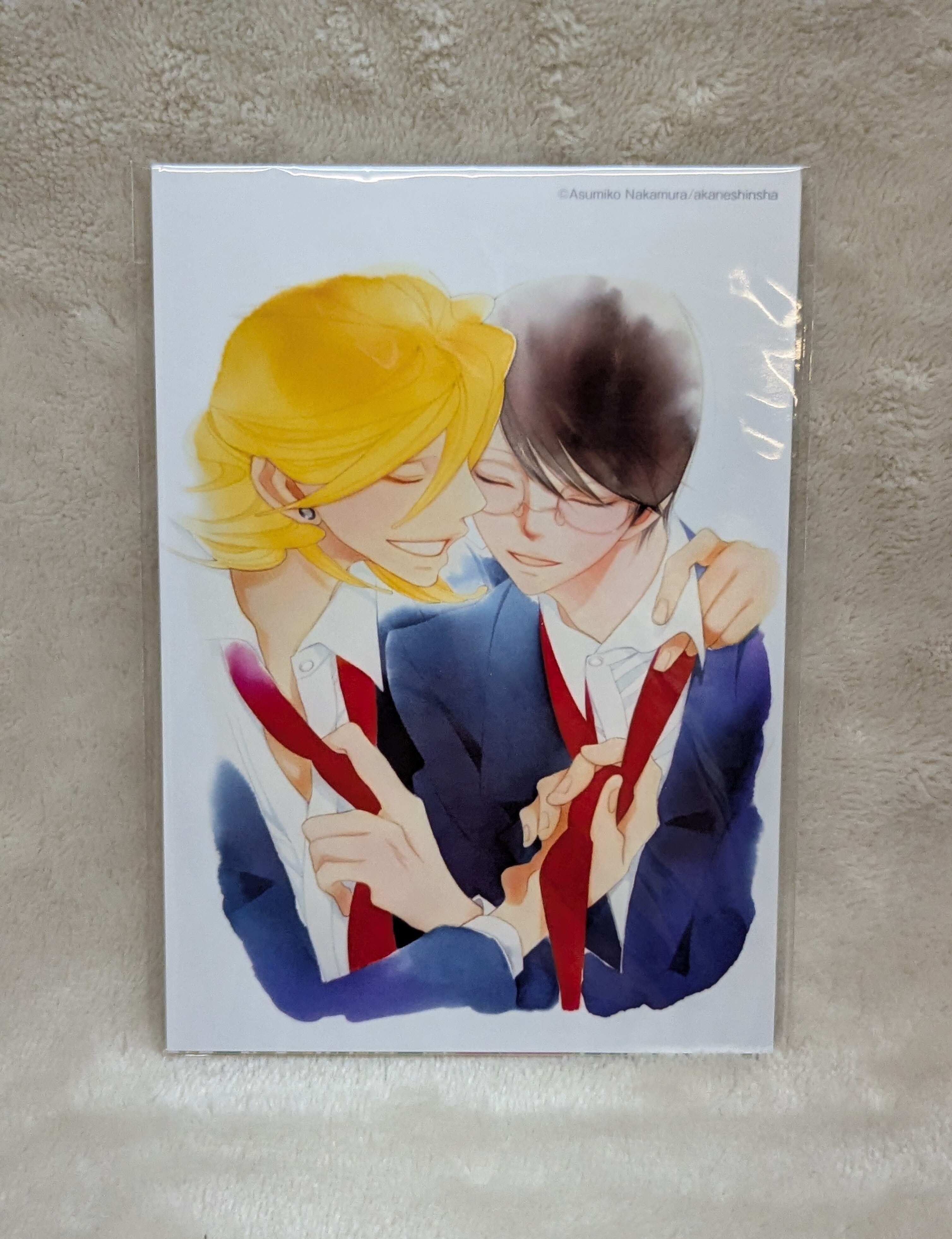 とらのあな とらくじ/「同級生シリーズ」 10th Anniversary F賞D ブロマイド5枚セット | まんだらけ Mandarake