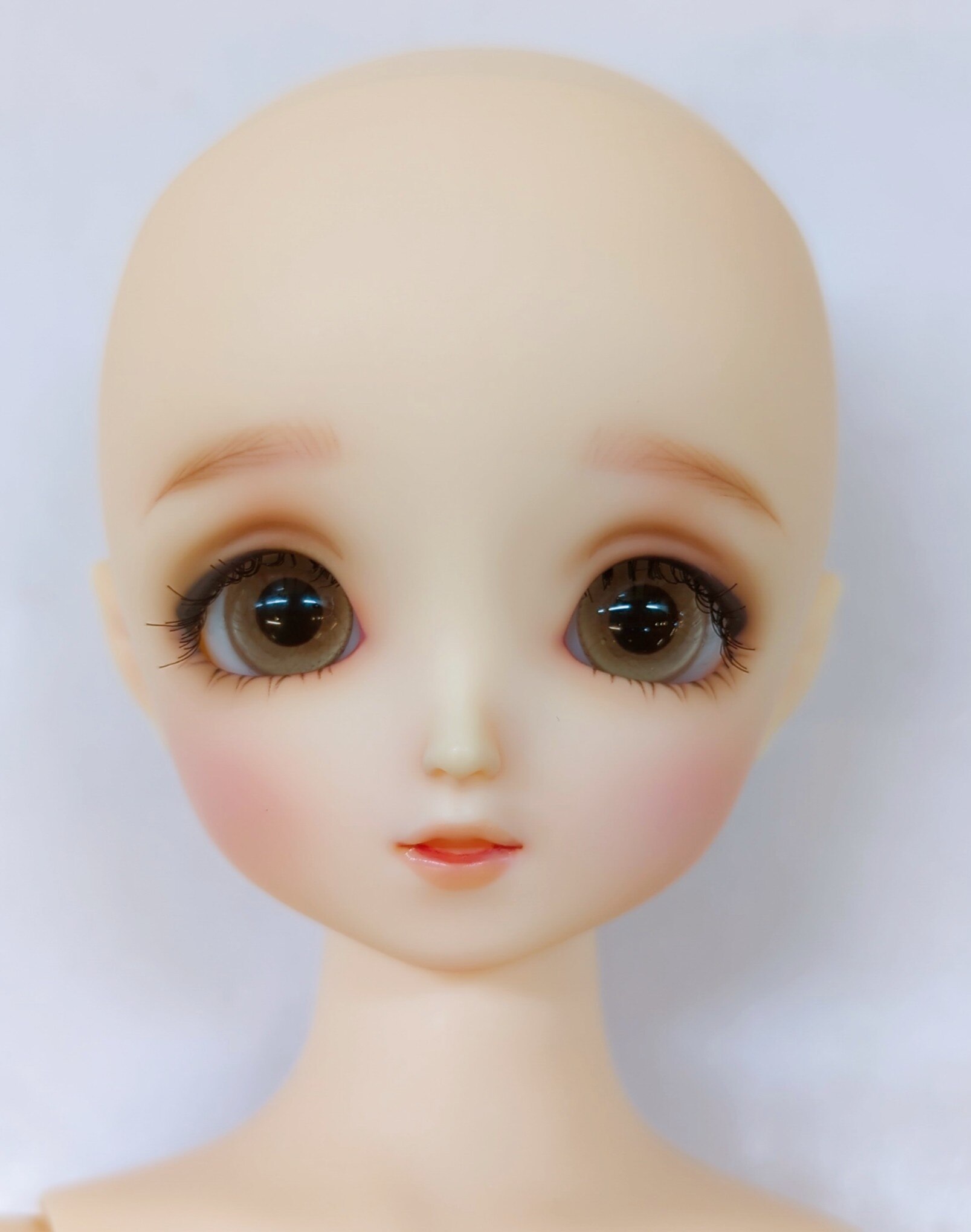 ボークス SDM女の子 スタンダードモデル モモ | まんだらけ Mandarake