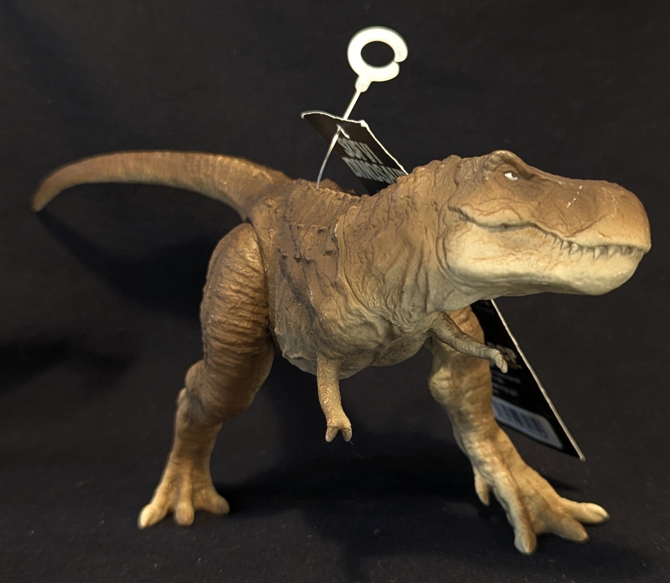 CCP SOFVI DINOSAUR ティラノサウルス・レックス | まんだらけ Mandarake