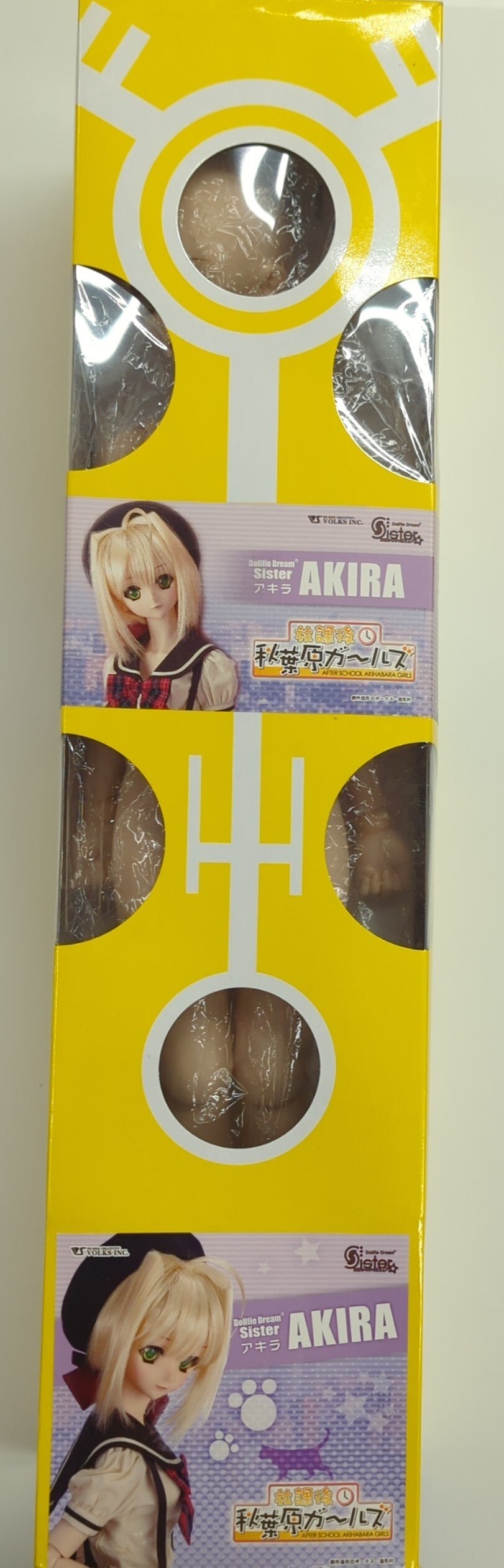ボークス DDS 放課後秋葉原ガールズ アキラ 1st | まんだらけ Mandarake