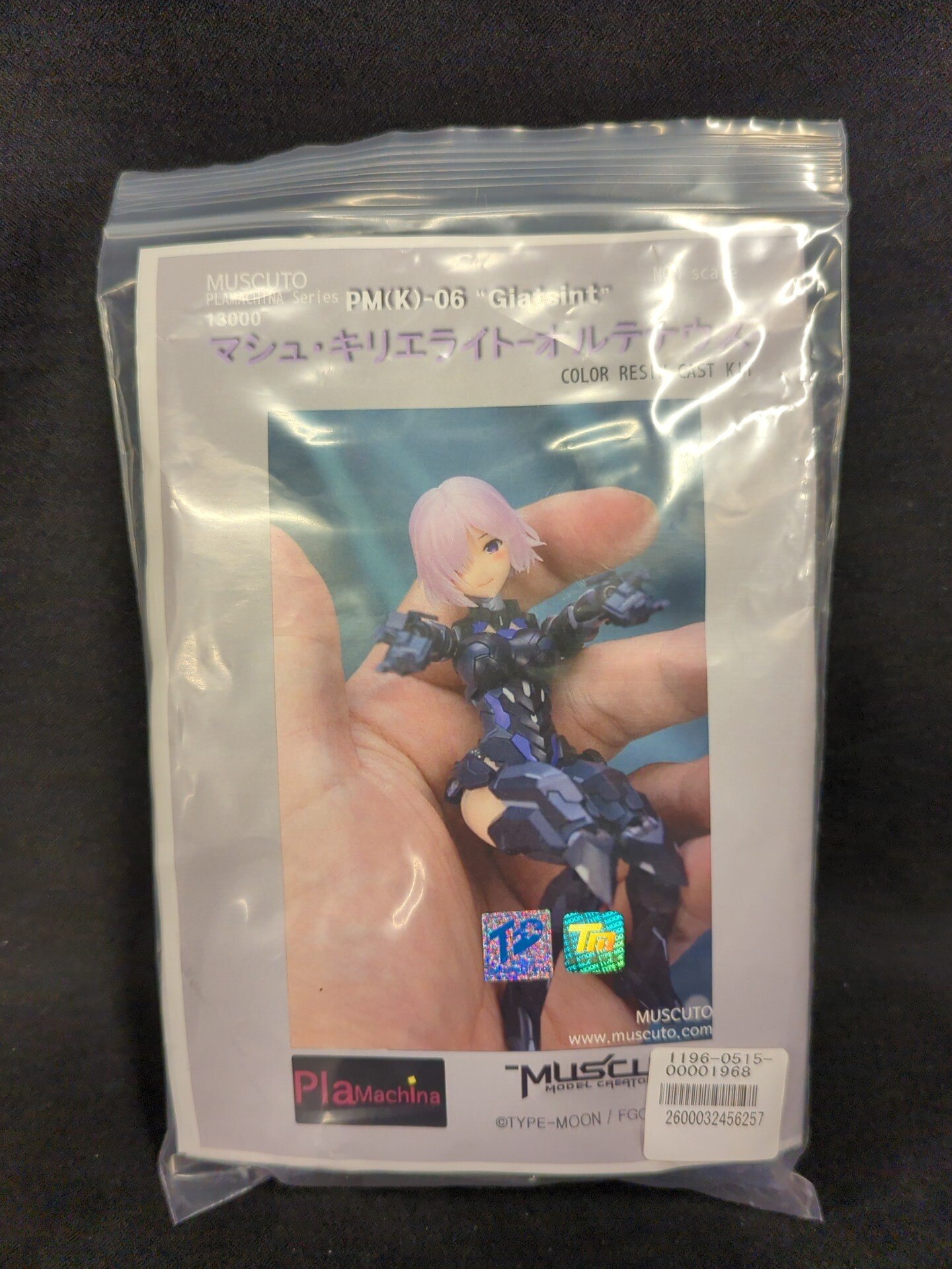 MUSCUTO カラーレジンキャストキット マシュ・キリエライト-オルテナウス | まんだらけ Mandarake
