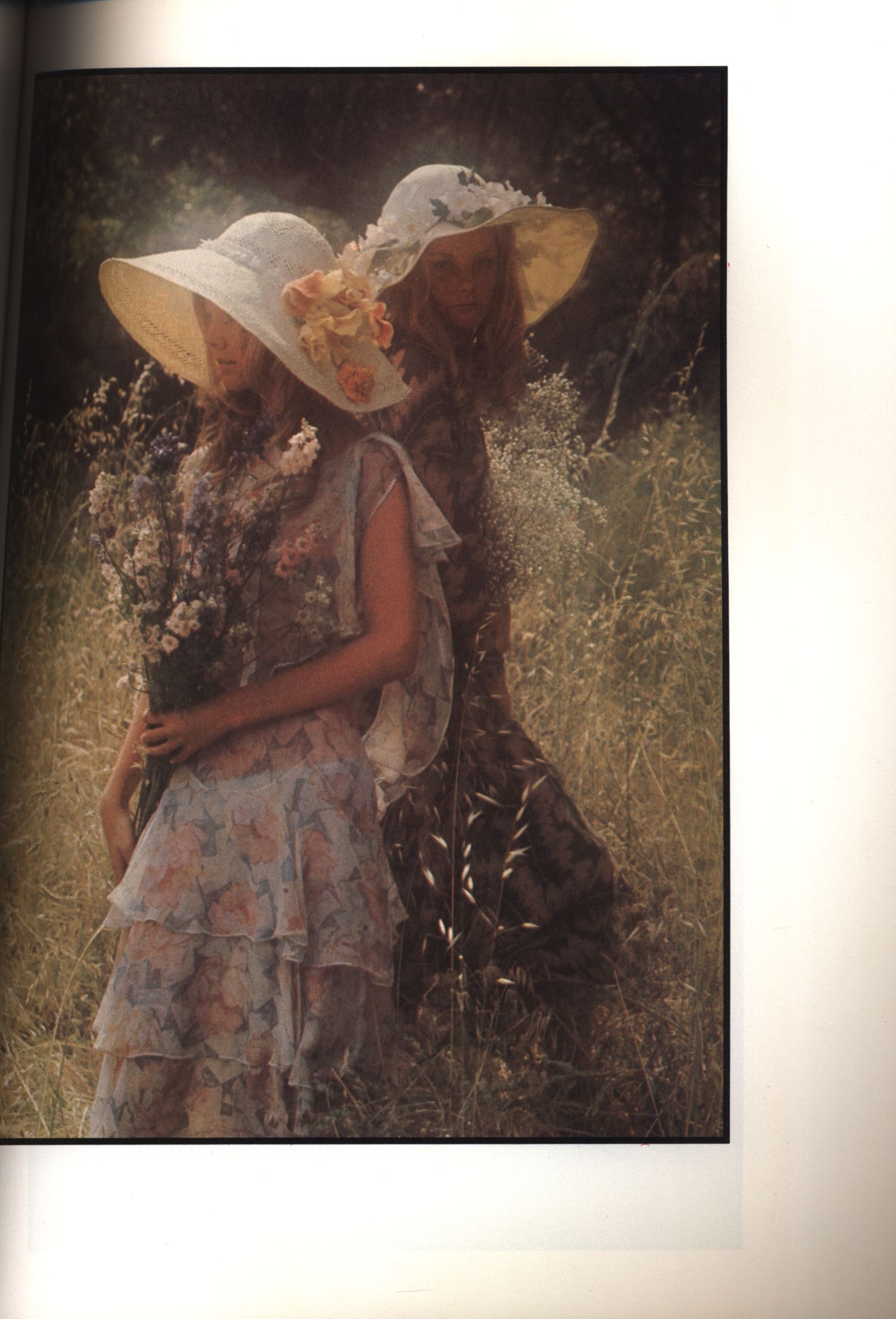 David Hamilton Dreams Of A Young Girl Pb Mandarake Online Shop