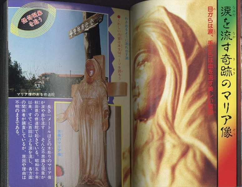 Keibunsha Keibunsha Encyclopedia 156 Kaiki Miss Terry Encyclopedia | MANDARAKE 在线商店