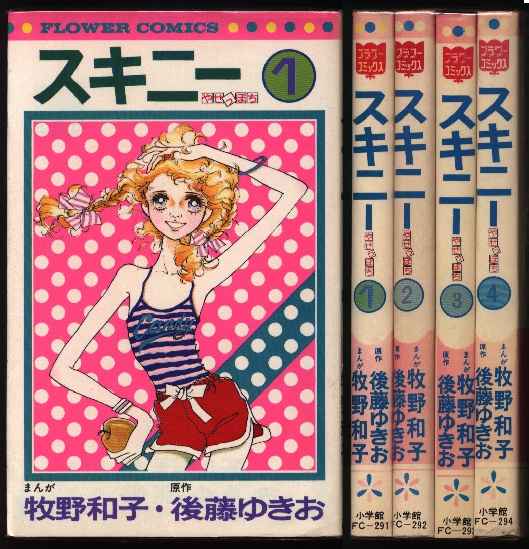 Shogakukan Flower Comics Kazuko Makino Skinny Complete 4 Issue Set | MANDARAKE 在线商店