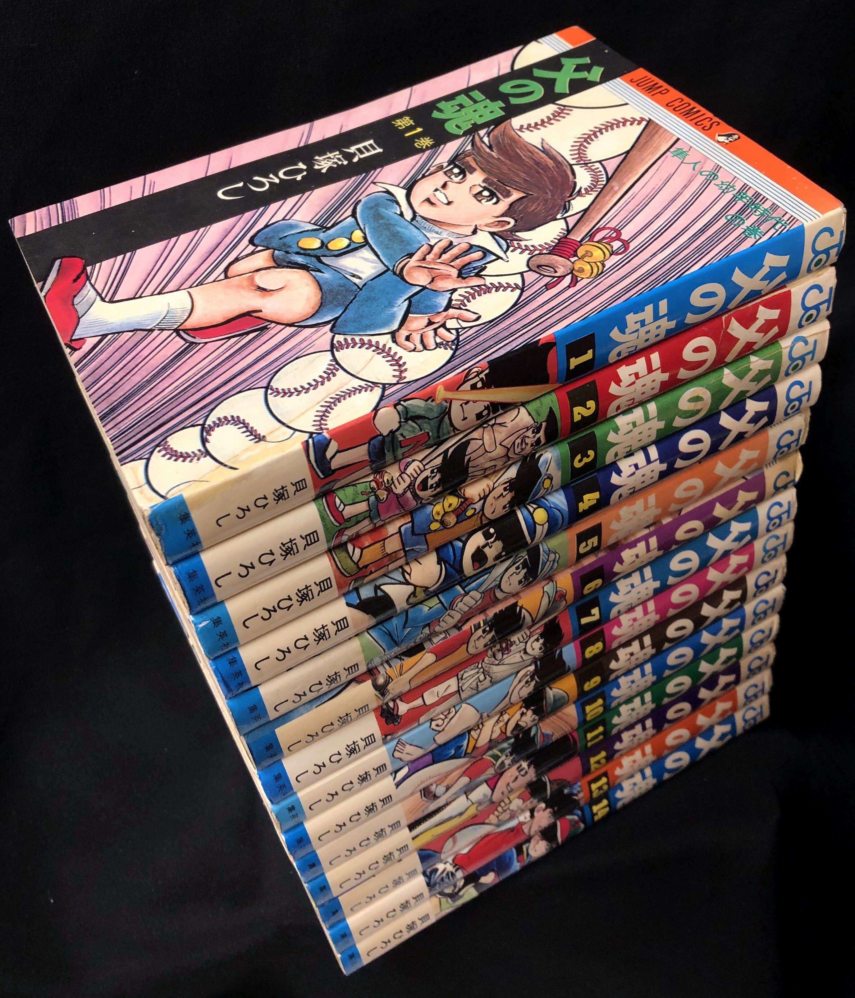 Shueisha Jump Comics Hiroshi Kaizuka " Chichi no Tamashii (Father's soul) " Complete 14 Volumes ...