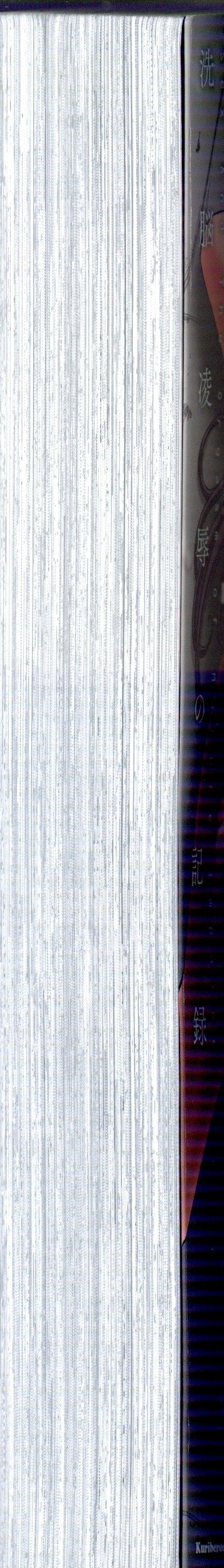 リイド社 SPコミックス クリベロンコミックス 星野竜一 潜入妻サトミ 洗脳凌辱の記録 | まんだらけ Mandarake