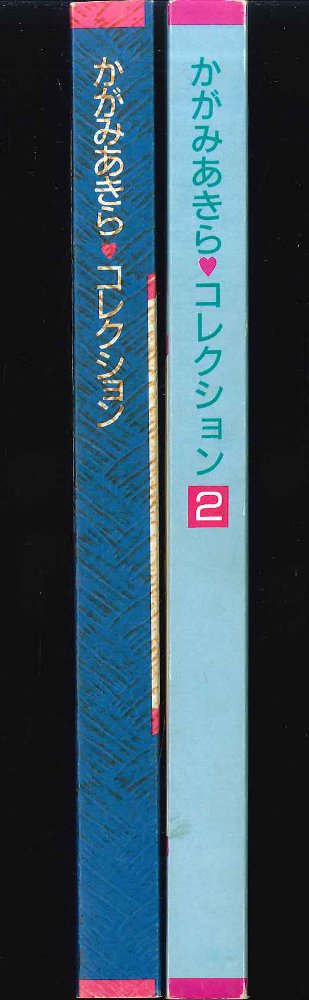 Makoto Aoyagi !!) Akira Kagami Collection Complete 2 Volume Set | MANDARAKE 在线商店