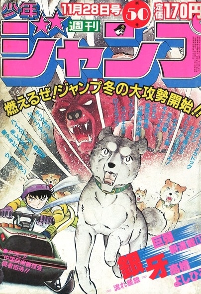 集英社 1983年(昭和58年)の漫画雑誌 週刊少年ジャンプ 1983年(昭和58年)50 | まんだらけ Mandarake