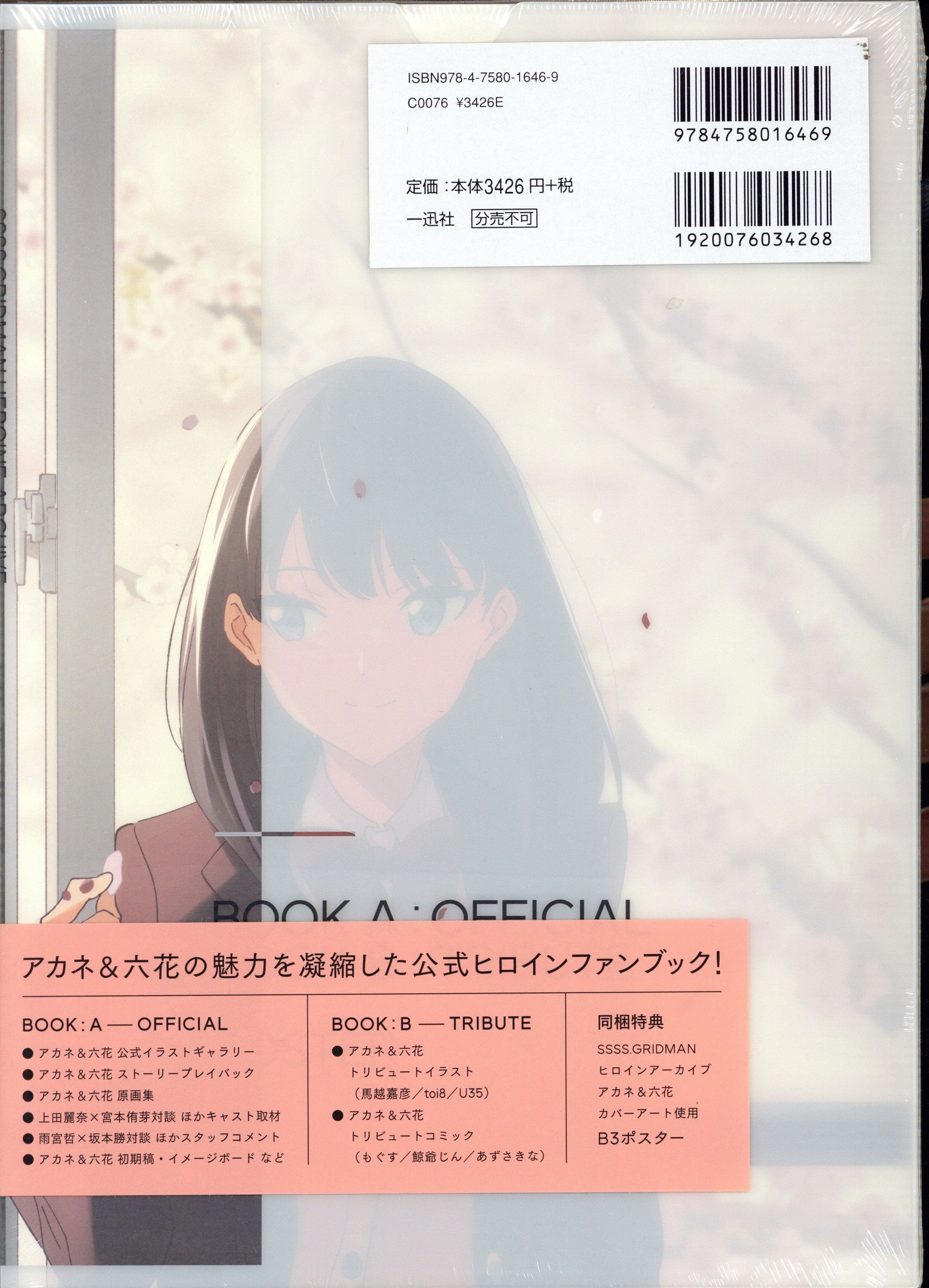 一迅社 ヒロインアーカイブ アカネ&六花/SSSS.GRIDMAN (未開封) | まんだらけ Mandarake